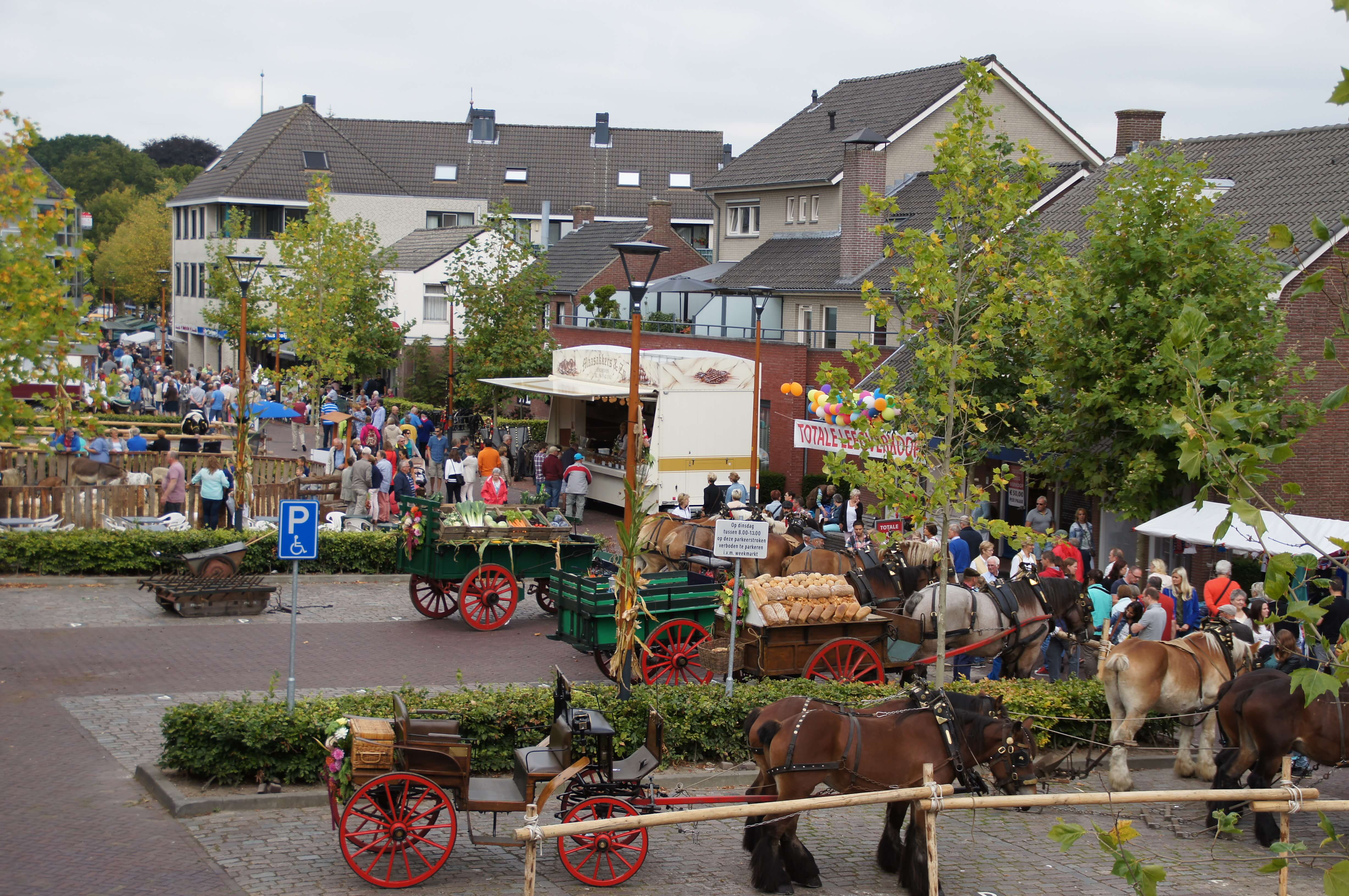 Boerenmert Hapert | De Recreant
